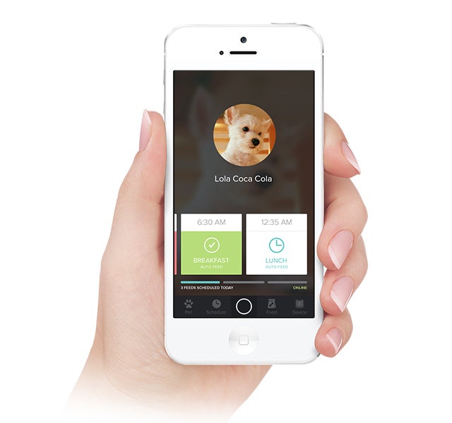 5 Gadgets Your Pet Needs Right Now