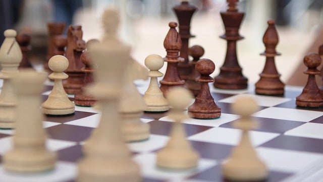 Specialization vs Generalization: A Study on Business Strategy - Tech.co