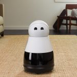 12 Personal Robots for Your Home