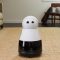 12 Personal Robots for Your Home