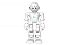 12 Personal Robots for Your Home