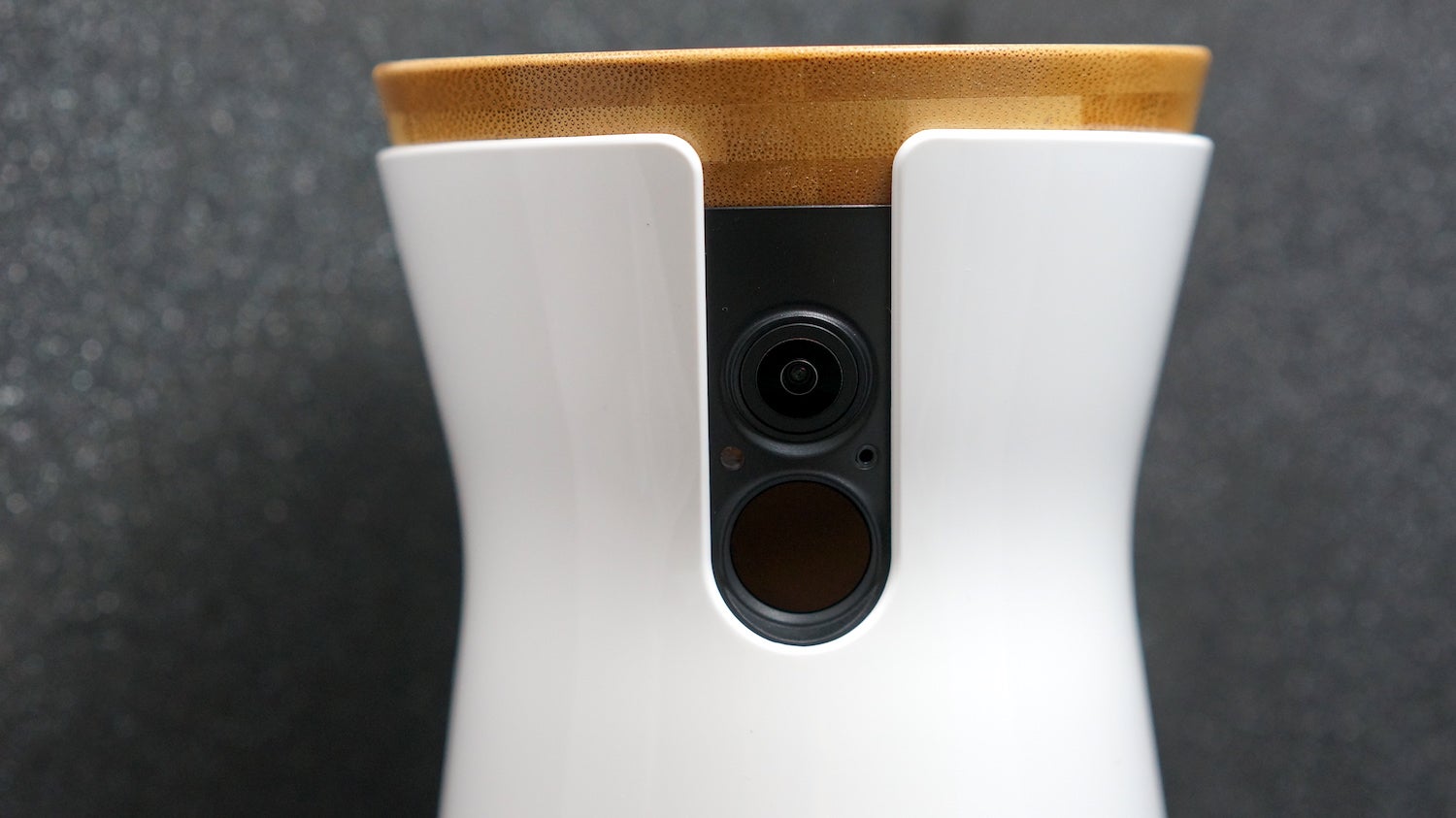 Treat Your Pets Anywhere With Furbo [Review]