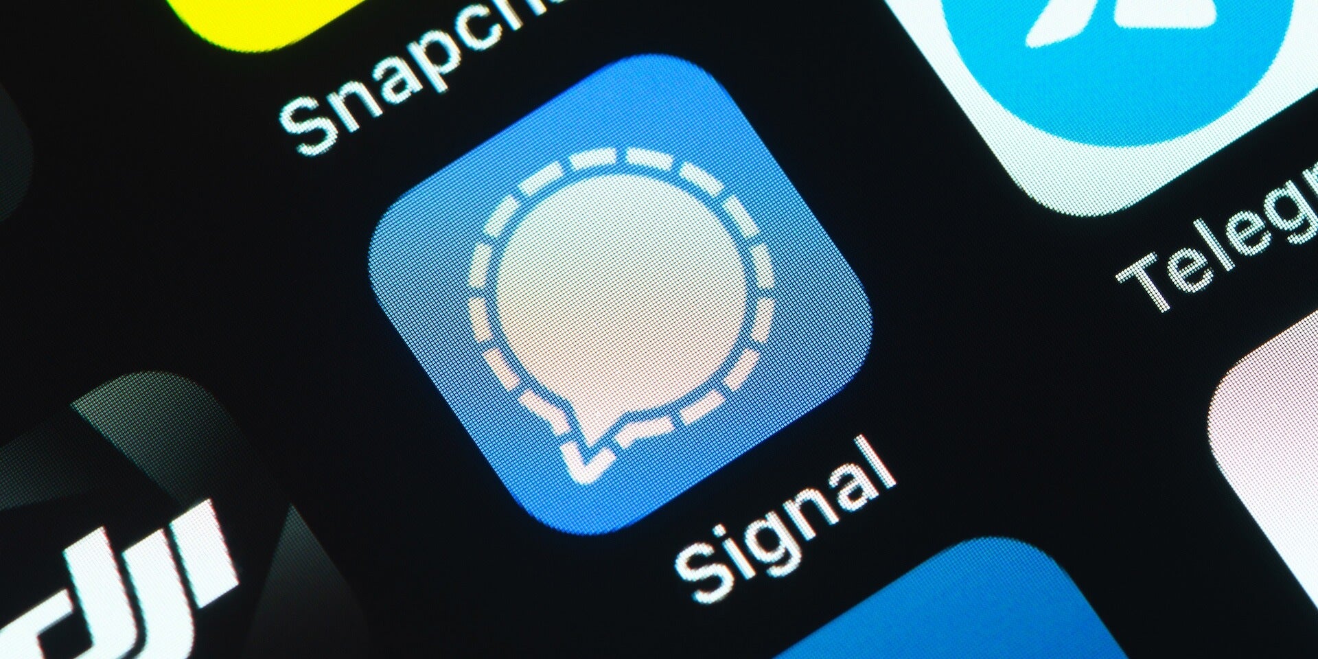 Is Signal a Security Risk to Your Business?