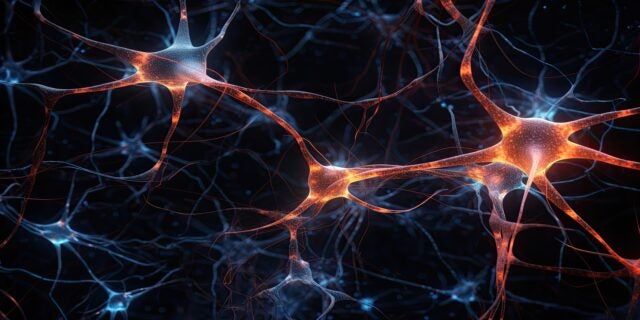 A Research Team Plans to Merge AI with Human Brain Cells - Tech.co