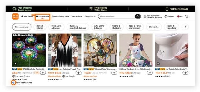 Temu Scams and How to Avoid Them (With Images) 2024